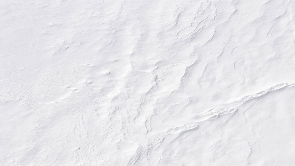 Watch Nick Bunick Barbara DeAngelis Gaia