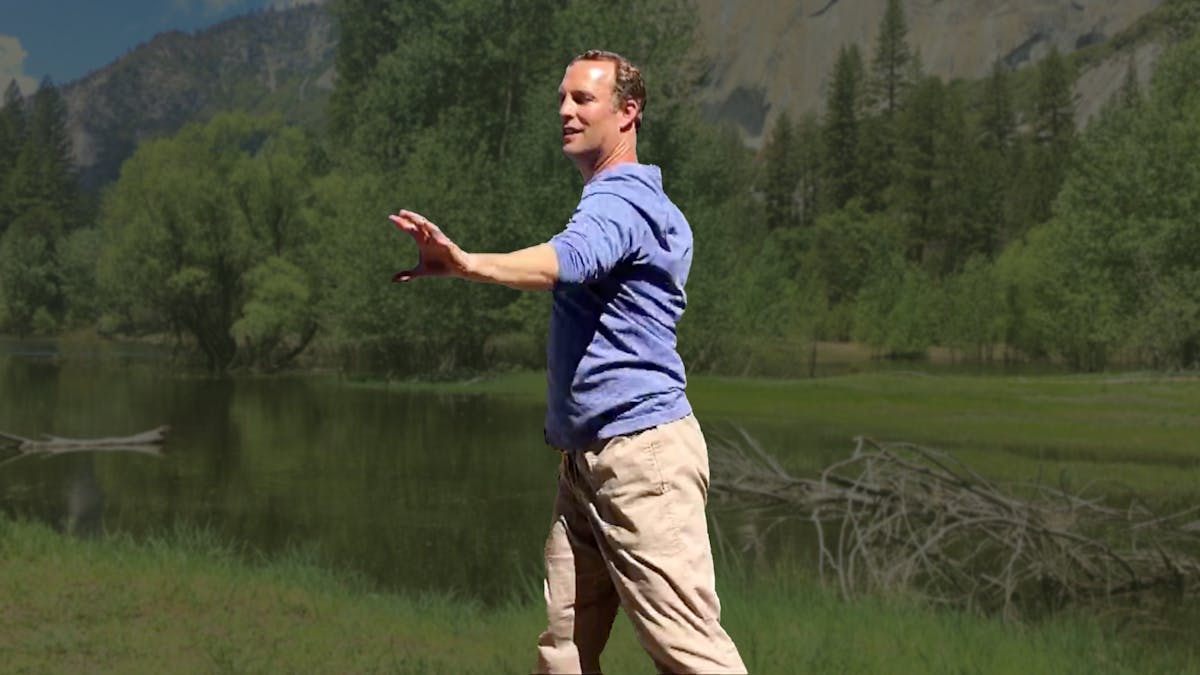 Watch Qi Gong for Energy & Vitality | Gaia