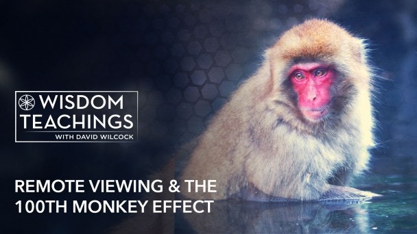 Watch Remote Viewing the 100th Monkey Effect | Gaia