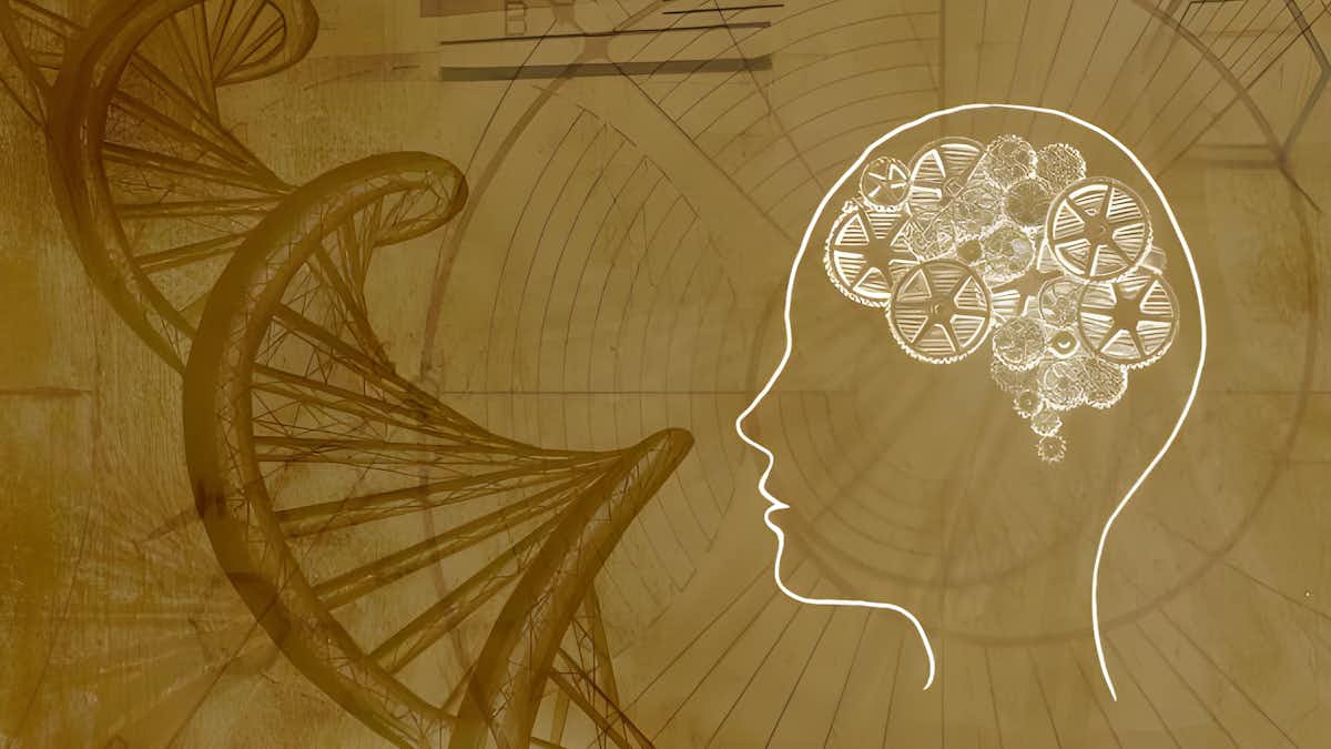 Watch Conscious Evolution | Gaia