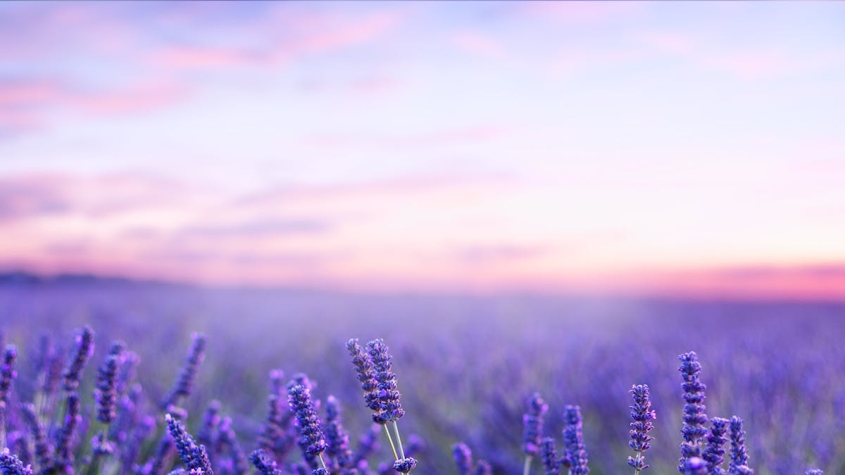 Watch PMS and Mood Swings | Gaia