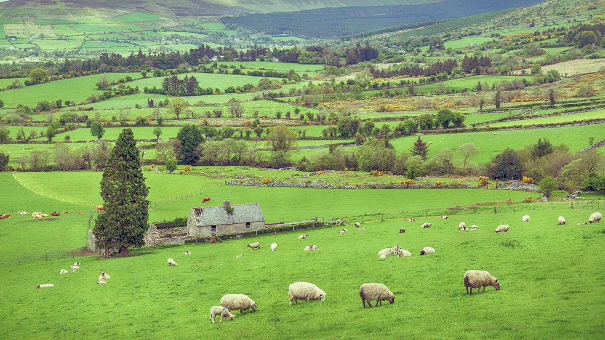 Watch Michael Tsarion about the Irish Origins of Civilization (Part 1 ...