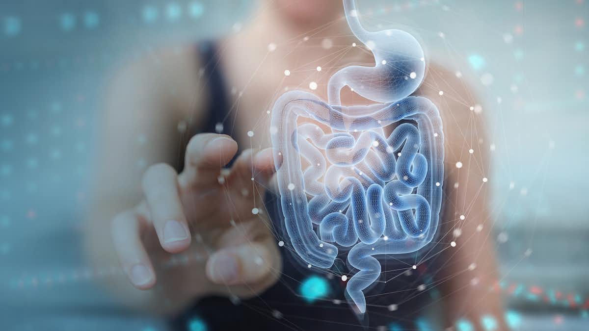 Watch Gut Check Action Plan | Gaia