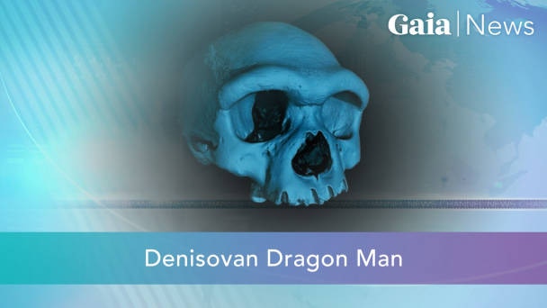 Denisovan Dragon Man