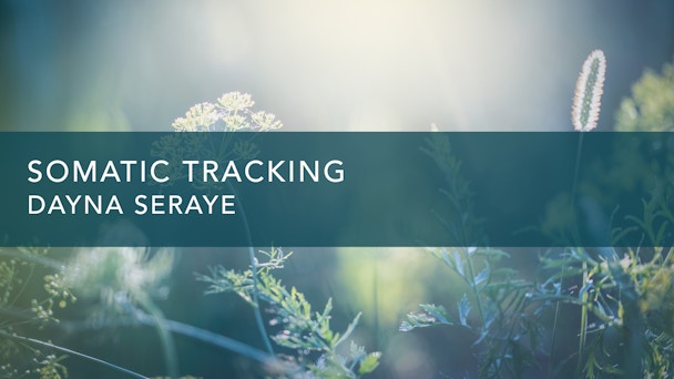 Watch Somatic Tracking | Gaia