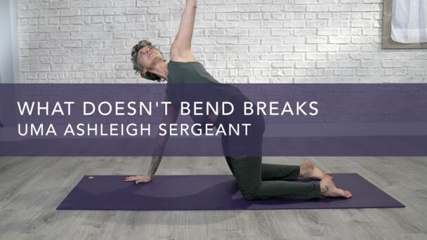 What Doesn't Bend Breaks