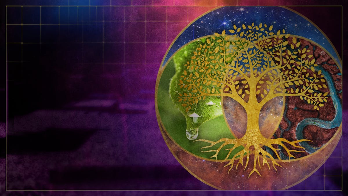 Regarder Le Vesica et l'arbre de vie | Gaia Français