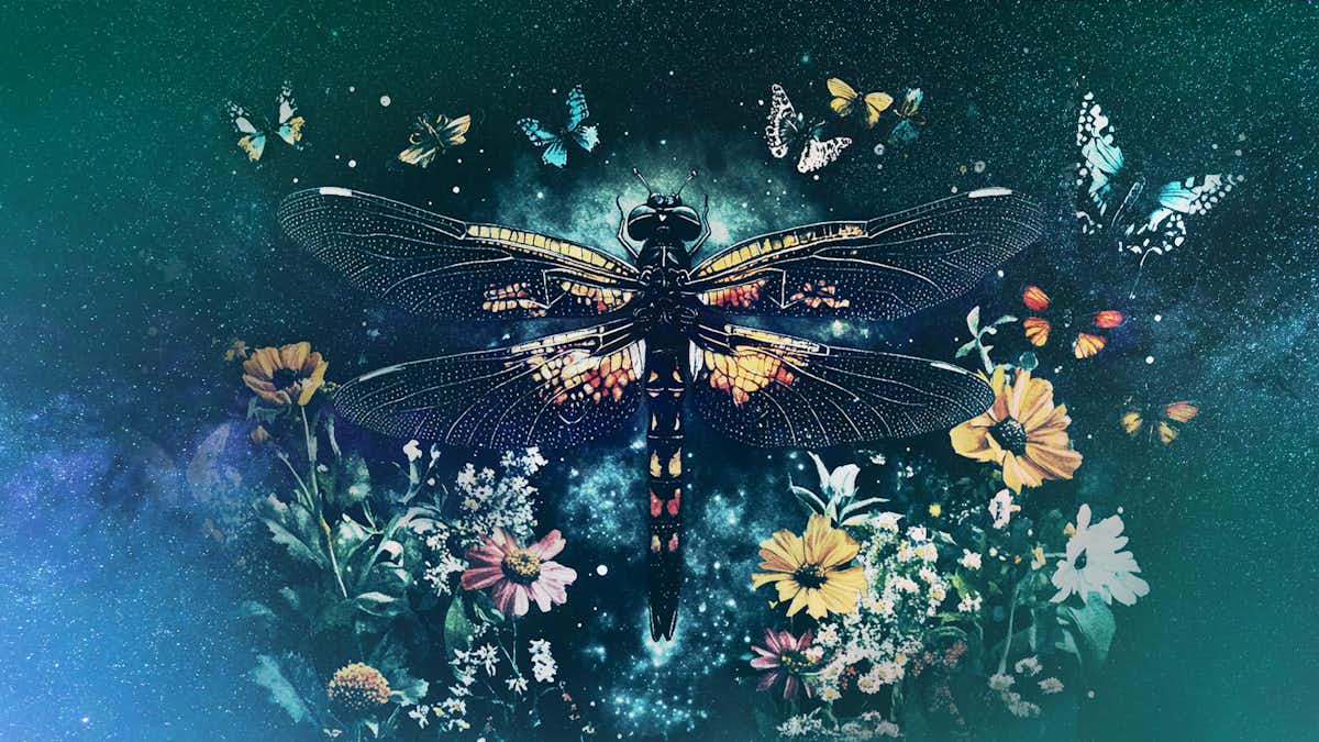 Watch The Dragonfly Journey | Gaia