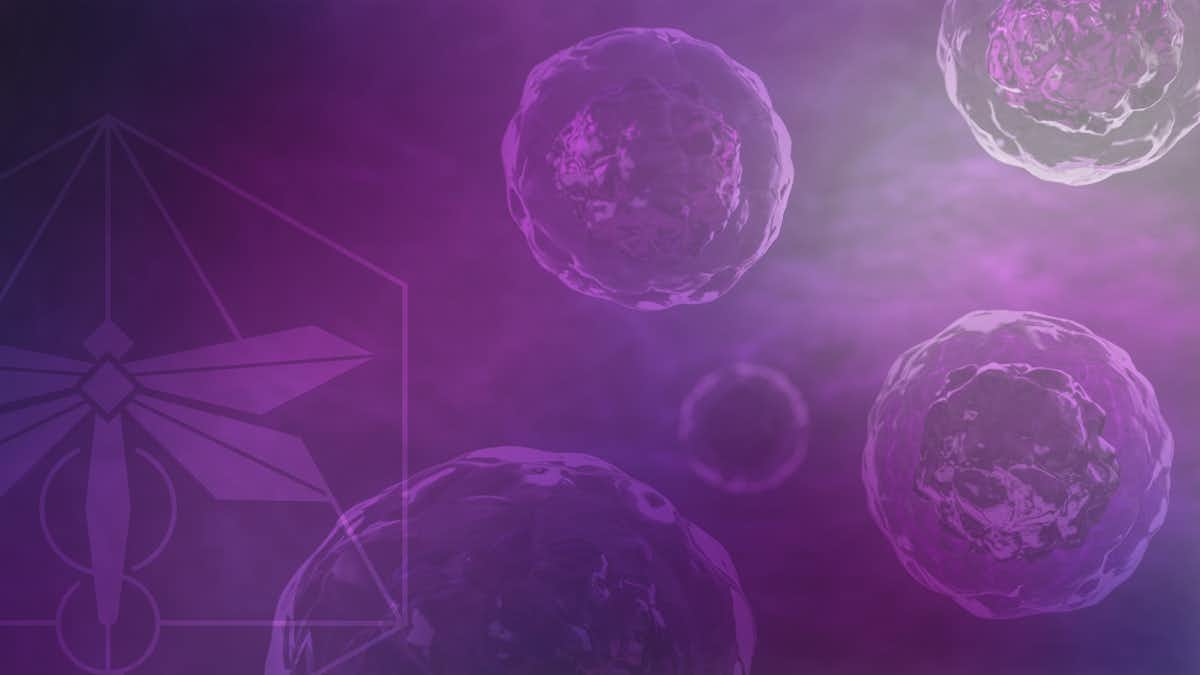 Watch Stem Cell Secrets | Gaia