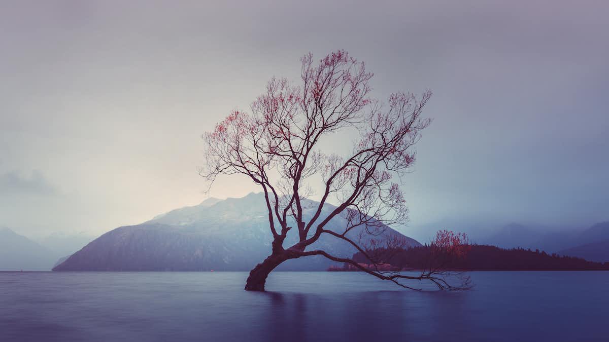 Watch Unlocking Past Traumas | Gaia