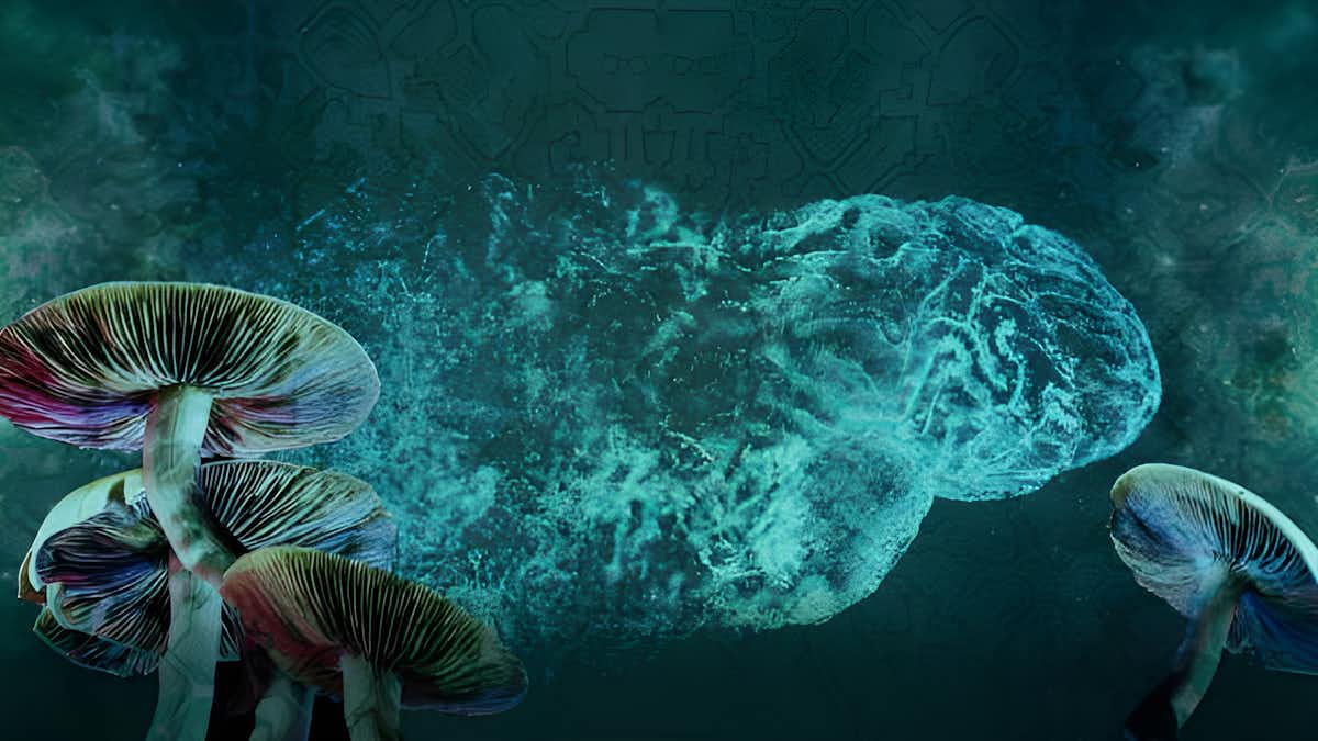 Watch Psychedelic Psychology | Gaia