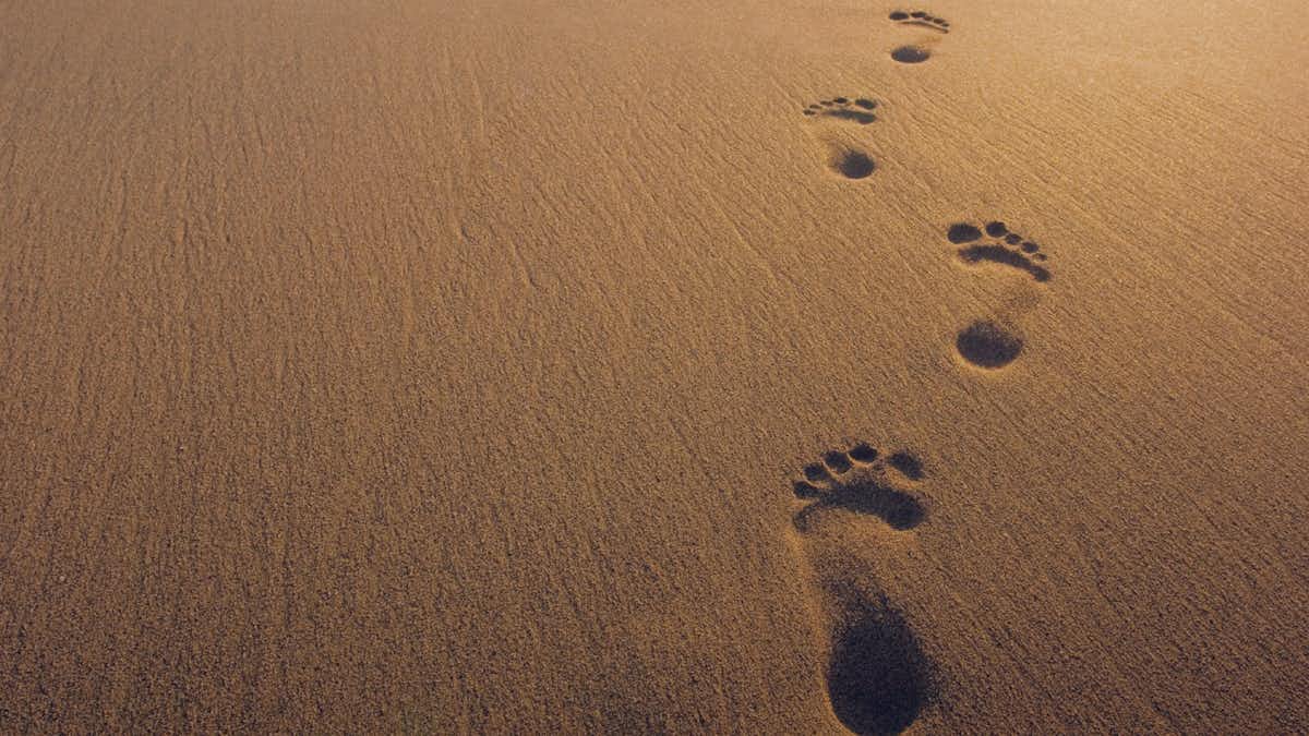 Disfruta 10 Things to Know Before You Go with Dannion Brinkley | Gaia ...