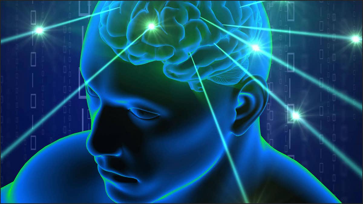 Watch Your Seed of Creativity with Ivan Rados Gaia