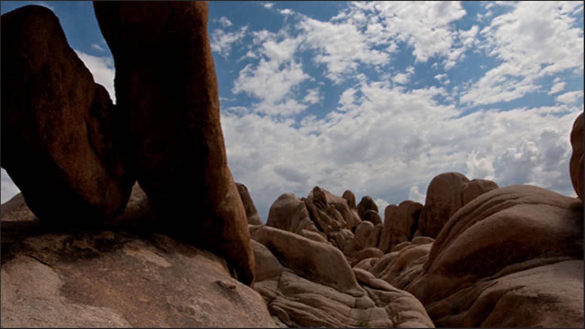 Disfruta El legado de los ángeles rebeldes con Timothy Wyllie | Gaia