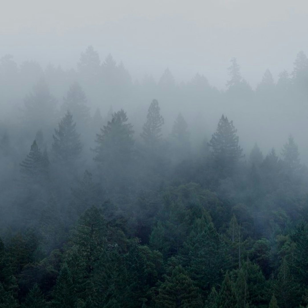 A Go-to Gate Pose Sequence for a Sweet Side-Body Stretch