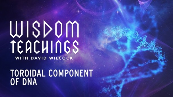 Watch Toroidal Component of DNA | Gaia