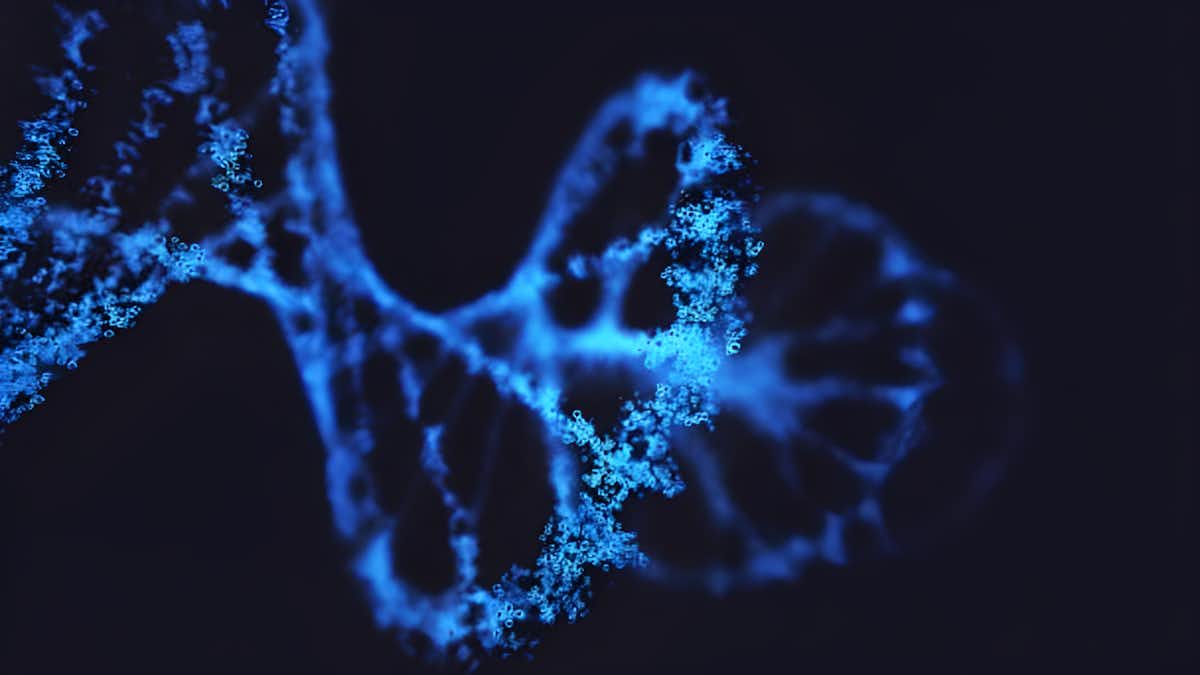 Watch Toroidal Component of DNA | Gaia