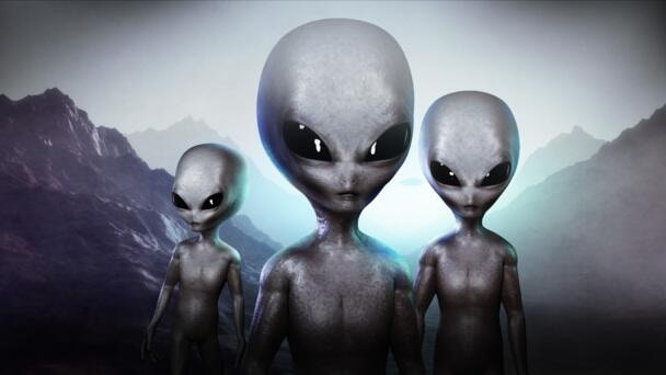 Tim Tactical Advisor: ET Contact Cosmic Mysteries | Gaia