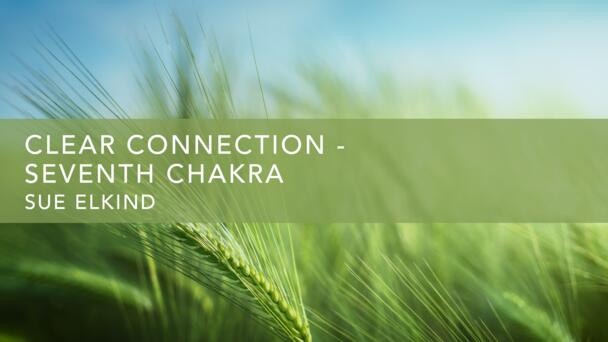 Visualization | Gaia