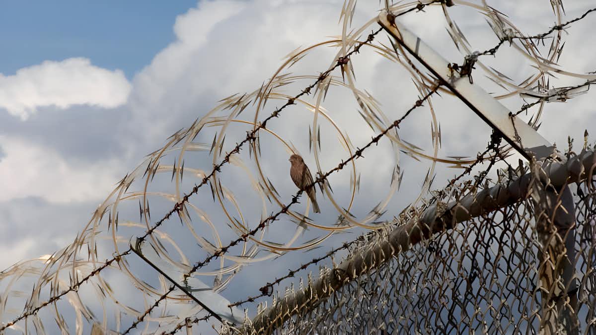 Watch Azim Khamisa on Forgiveness Amidst Gang Violence | Gaia