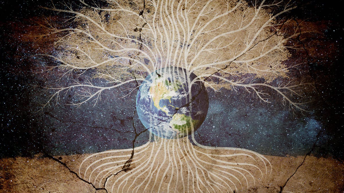 Watch Tree of Life | Gaia