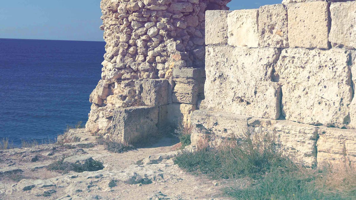 Watch Following Plato to Atlantis with Mark Adams | Gaia