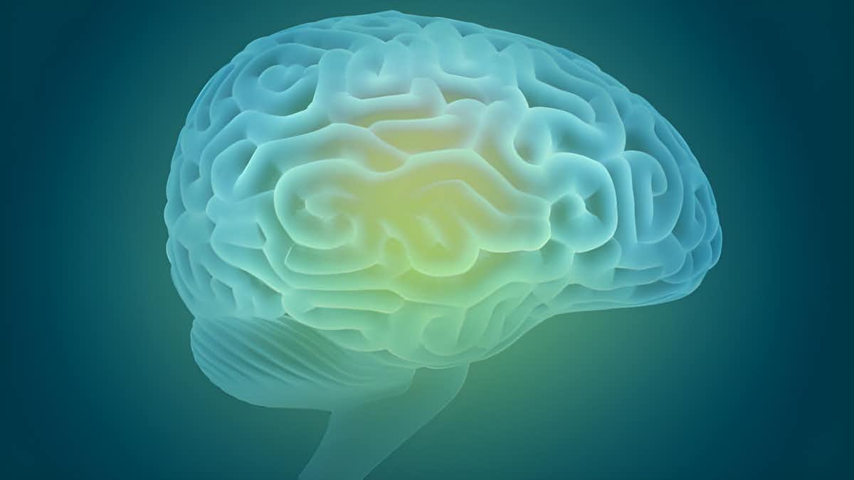 Watch Neurohack the Supermind | Gaia