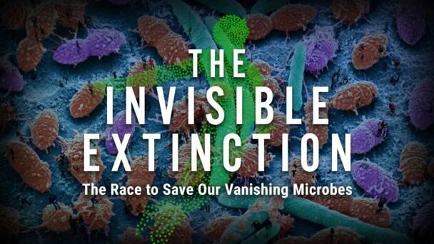 Watch The Invisible Extinction | Gaia