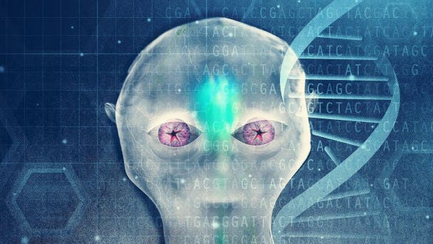 Emery Smith: Cosmic Disclosure" Host | Gaia