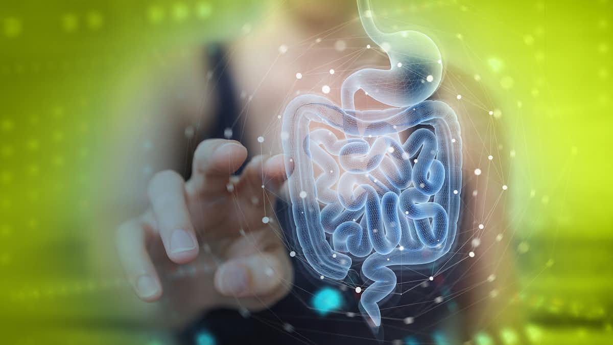 Watch Sleep Strategies | Gaia