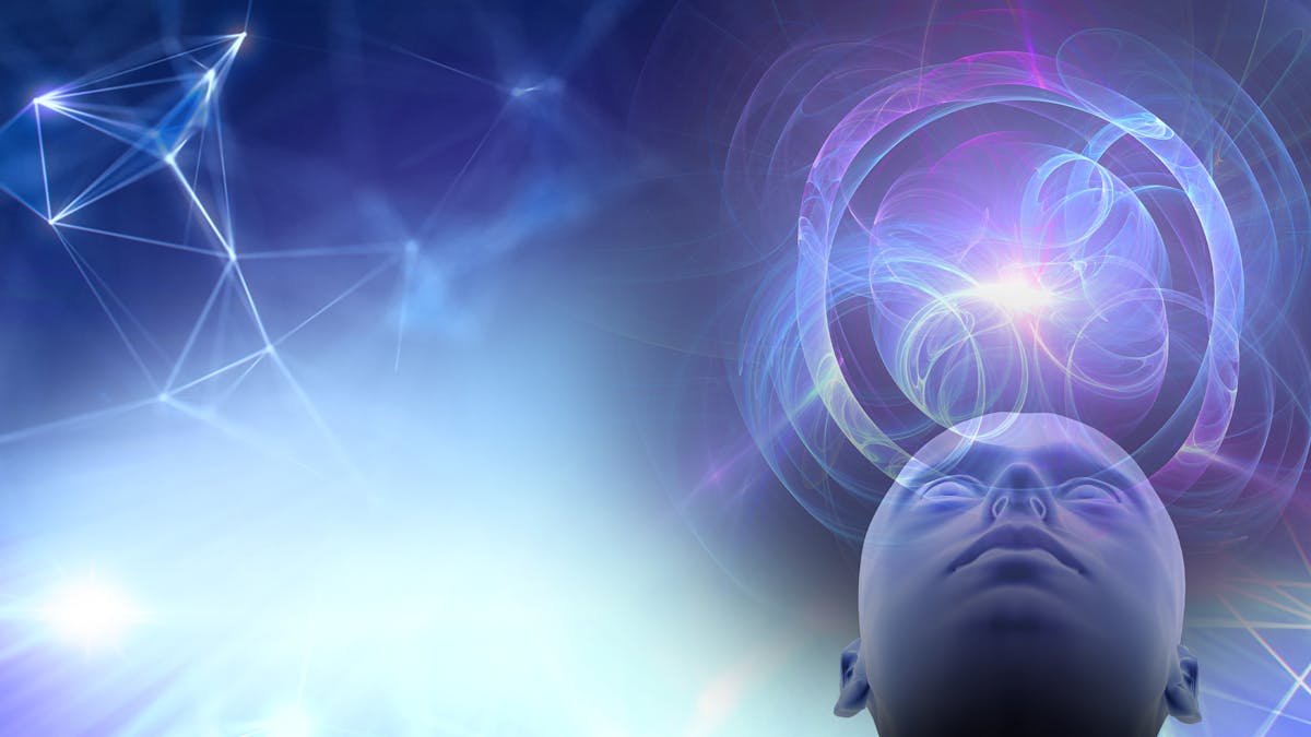 Watch Four Levels of Consciousness | Gaia