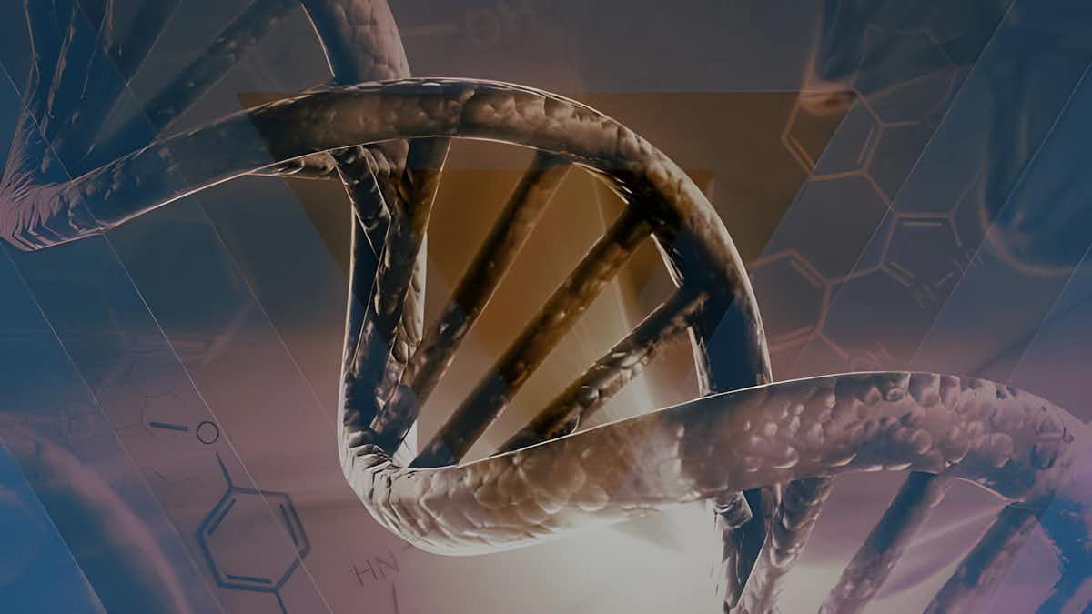 Watch Missing Links of Human Evolution | Gaia