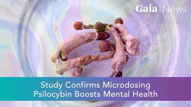 Watch Study Confirms Microdosing Psilocybin Boosts Mental Health | Gaia