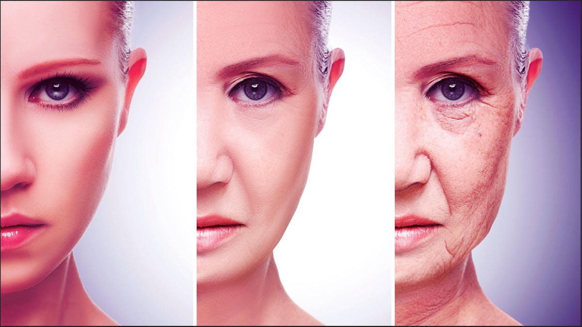 Watch The Science of Immortality with Dr. Bill Andrews and Dr. Terry ...