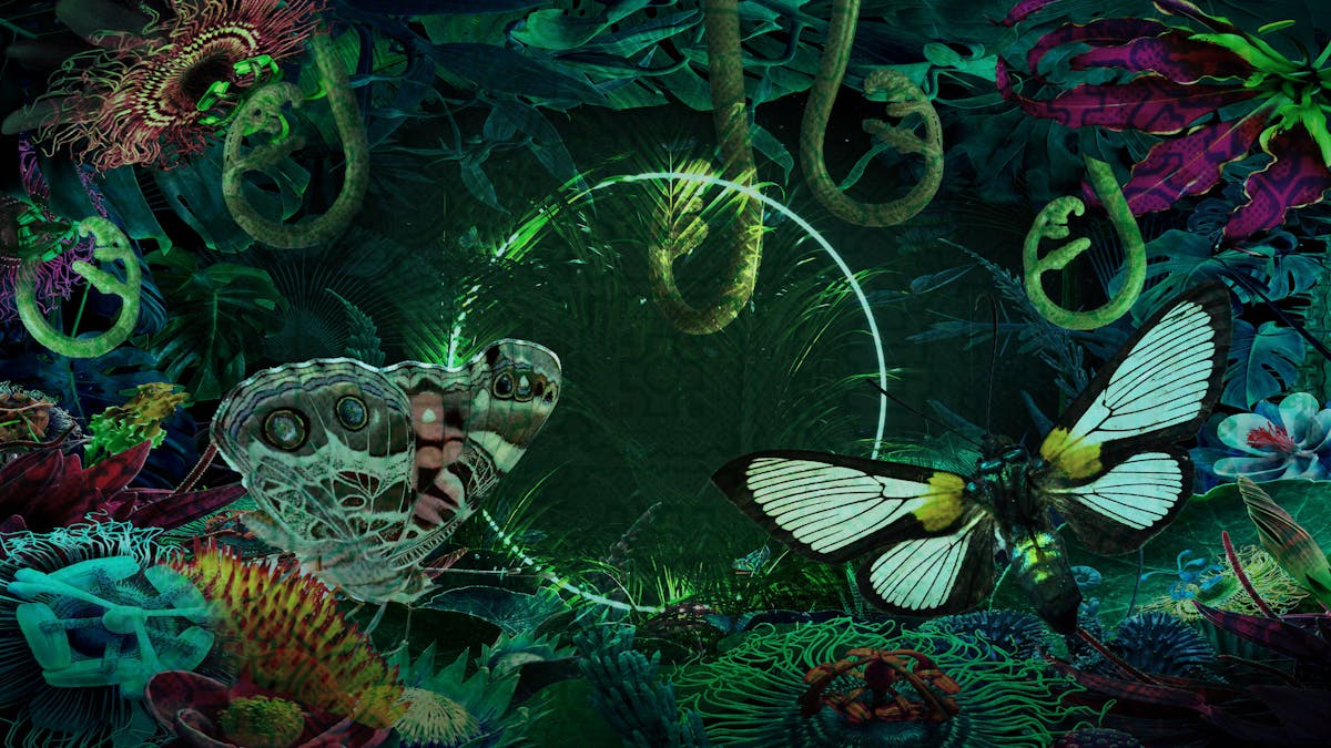 Watch Planet of the Plants | Gaia