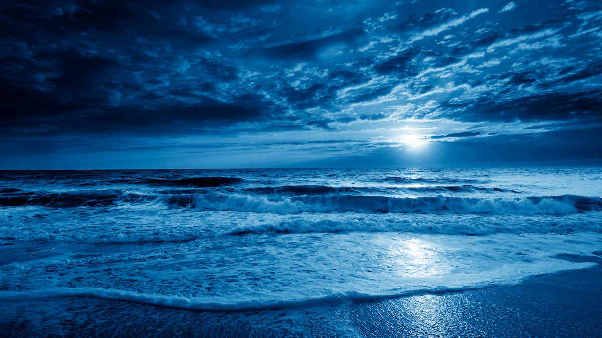 Disfruta The Heart of the Mind (Russell Targ) Part 2 | Gaia Español