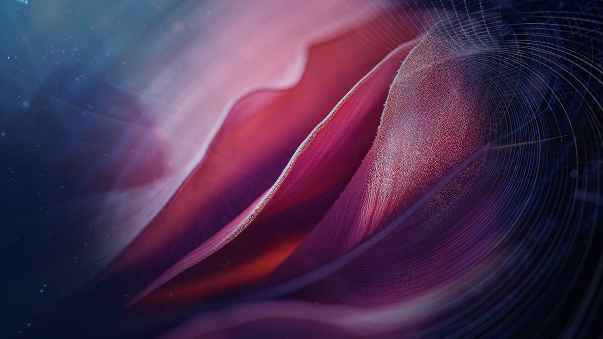 Disfruta Movement & Visualization | Gaia Español