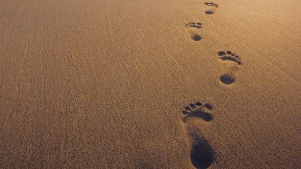 Lisa Garr | Page 5 of 14