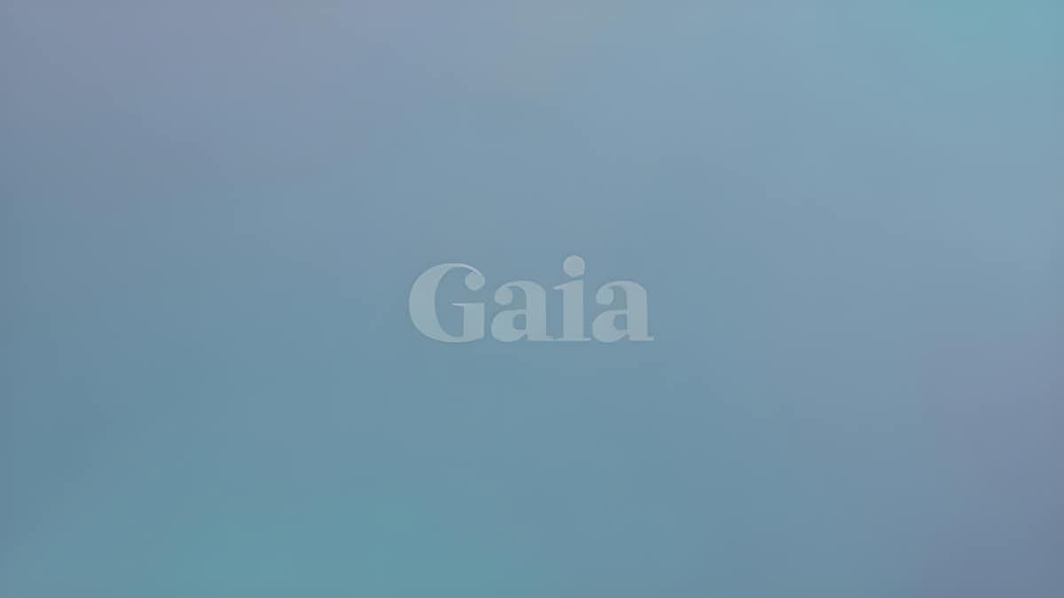 Watch THE FIRM Calorie Explosion Gaia