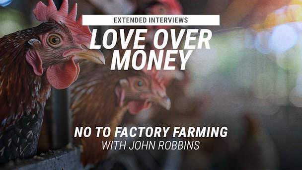Watch No to Factory Farming | Gaia