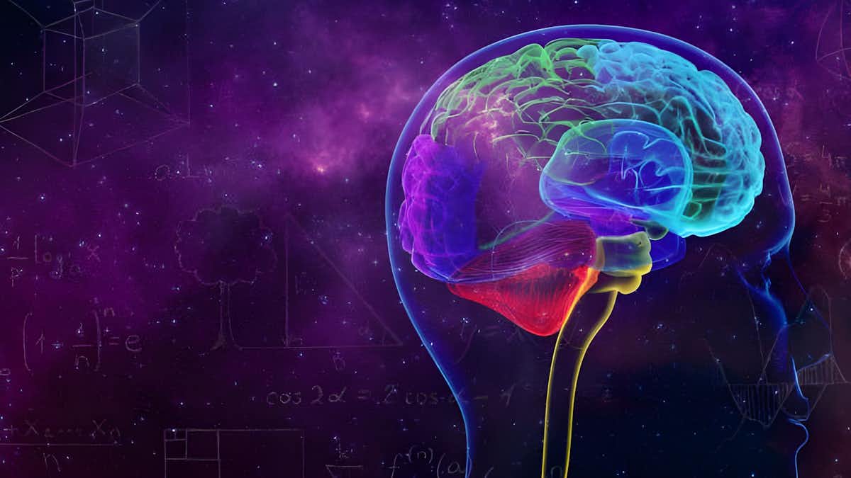 Watch Creating Whole Brain States | Gaia