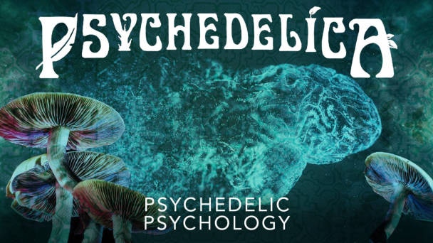 Watch Psychedelic Psychology | Gaia