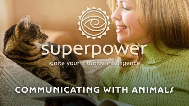 Watch Communicating with Animals | Gaia