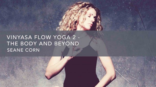 Vinyasa Yoga Poses and Sequences | Gaia