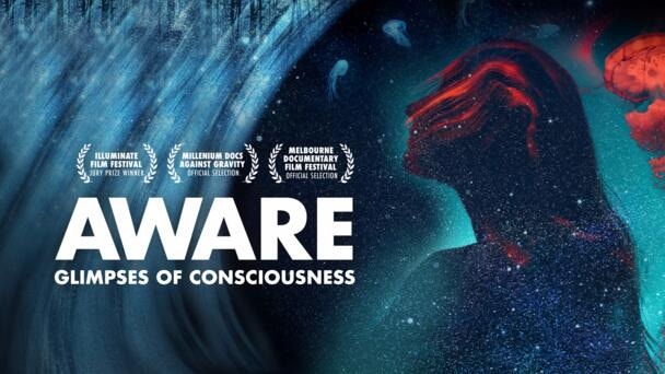 AWARE: Glimpses of Consciousness