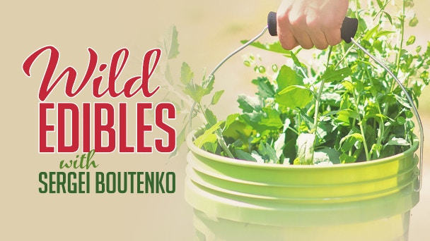 Wild Edibles with Sergei Boutenko