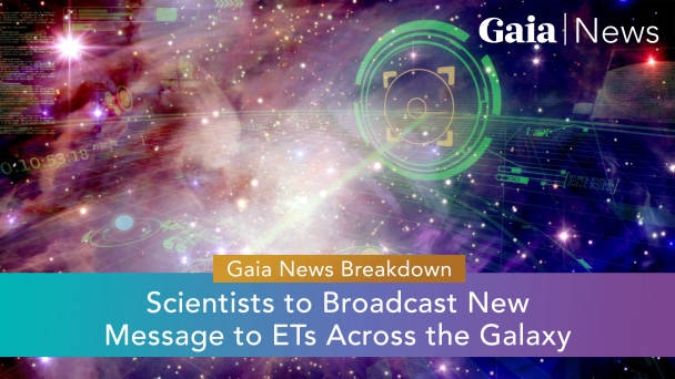 Antarctica: Bases & Beings