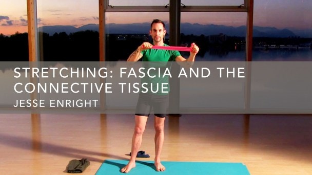 Stretching: Fascia and the Connective Tissue