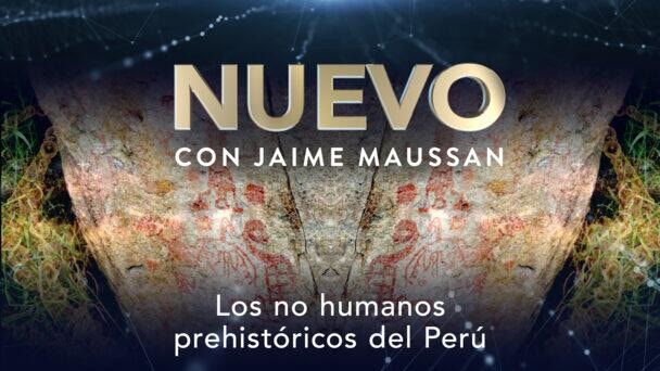 Las manos cruzadas de Ambo