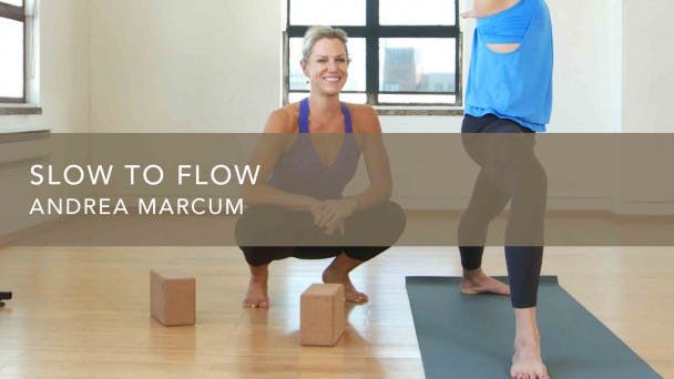 Full Body Workout